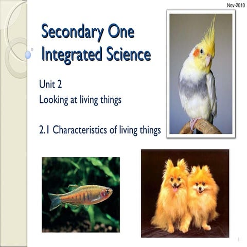 Characteristics of Living Things | PPT