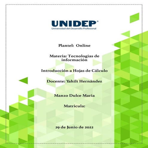 Introducción a Hojas de Cálculo: Excel | PDF | Databases | Computer Software and Applications