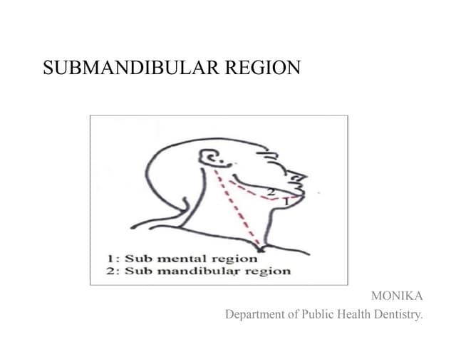 Anatomy of Submandibular Gland | PPT