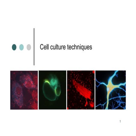 Cell Culture/. its definition and its types | PDF