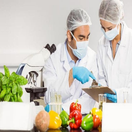Food Testing Lab in Panchkula | PPT