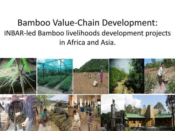 Bamboo value chain | PPT