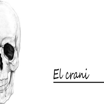 S3 g1 el crani | PDF