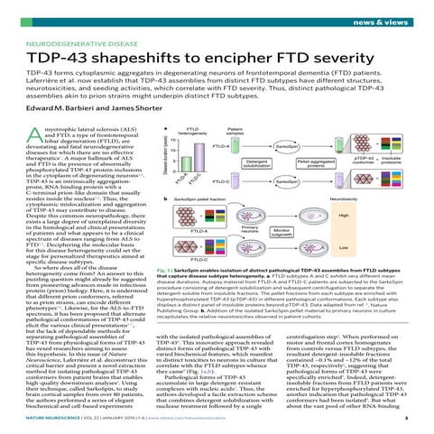 TDP-43 shapeshifts to encipher FTD severity | PDF