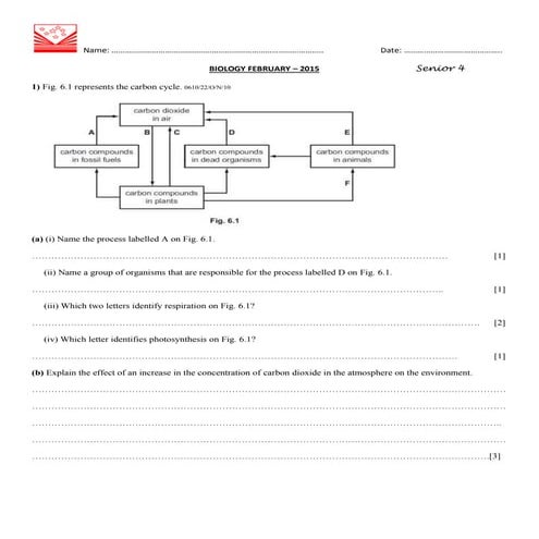 S4 biology, feb. exam 3rd term, 2015 | PDF