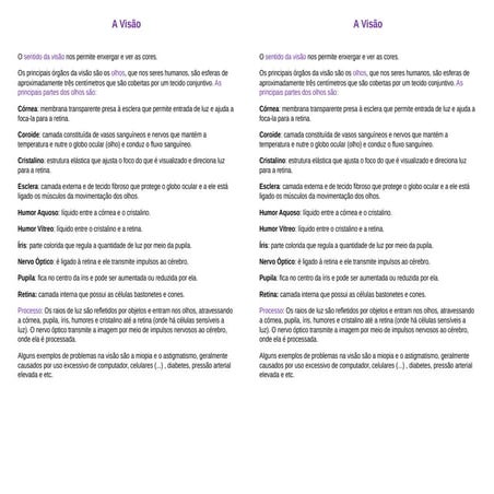 O sistema visual | DOC