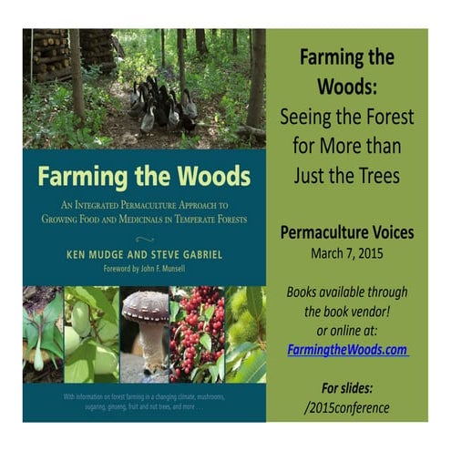 Forest Farming: Seeing the Forest for More Than Just the Trees ...