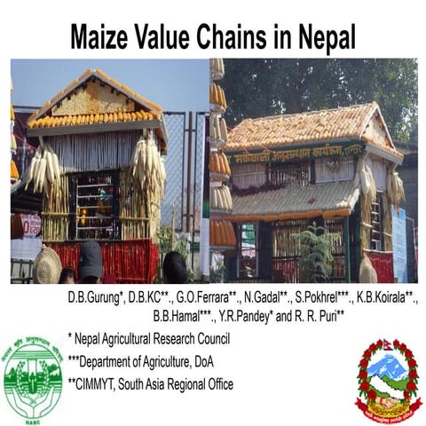 S7.3 Maize Value Chains in Nepal | PDF