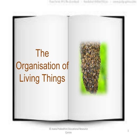 The Organisation of Living Things | PPTX