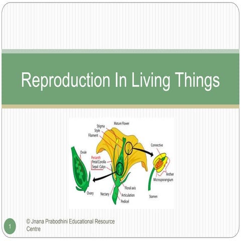 Reproduction in Living Things | PPT