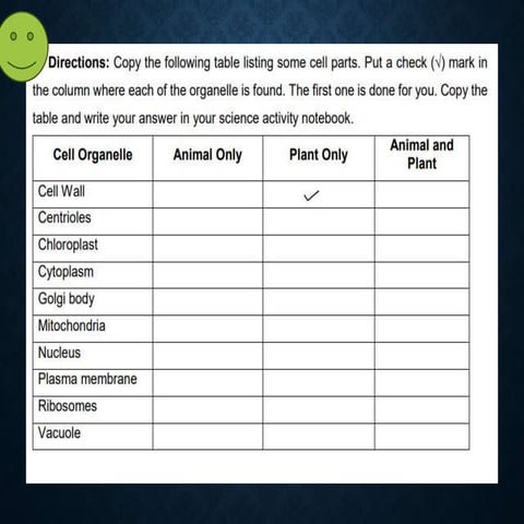 407884076-Levels-of-Organization-Lesson-Plan-docx.docx