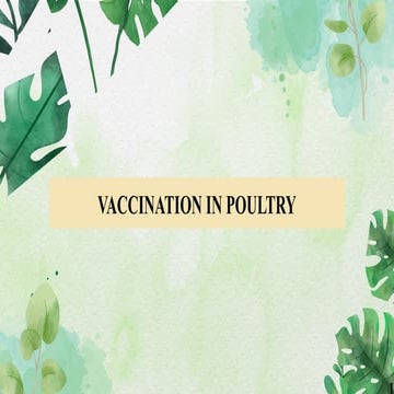 Vaccination in poultry | PDF