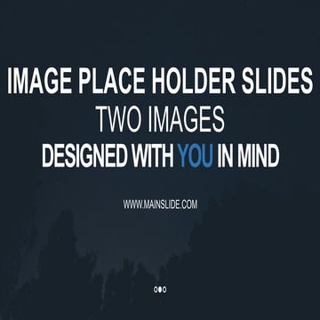 Two image slide | PPT