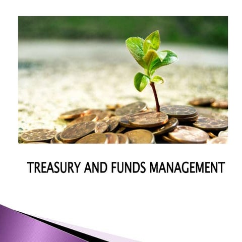Investment Portfolio (Treasury and Funds Management) | PPTX