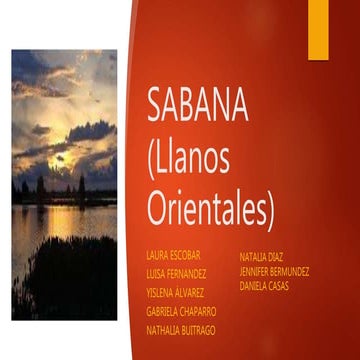 Region Los Llanos | PPTX