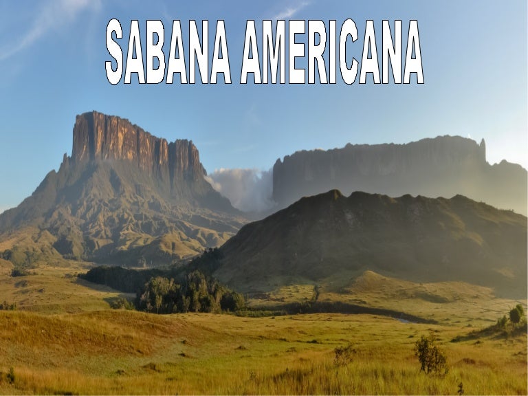 SABANAS AMERICANAS