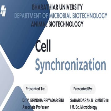CELL SYNCHRONIZATION (PHYSICAL SEPARATION AND CHEMICAL BLOCKADE) | PPTX