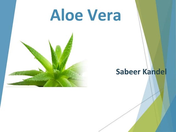 Aloe (Aloe vera) | PPTX | Gardening | Home & Garden