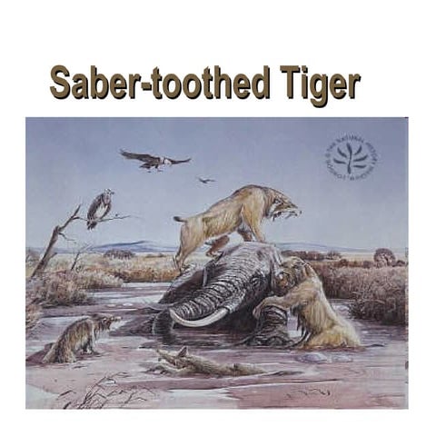 Saber toothed cats | PPT