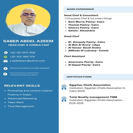 Saber Abdel Azeem Cv 2023.pdf