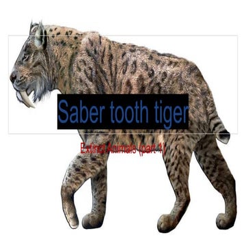 Reading Skill A1 for Beginners _adopted from British Council | PPTX