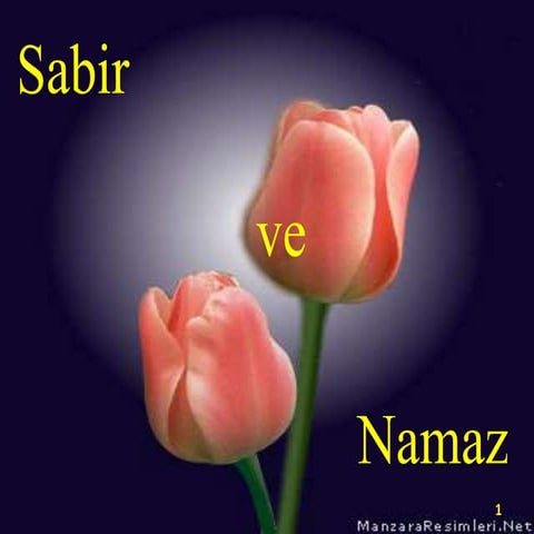 Sabir ve Namaz | PPTX