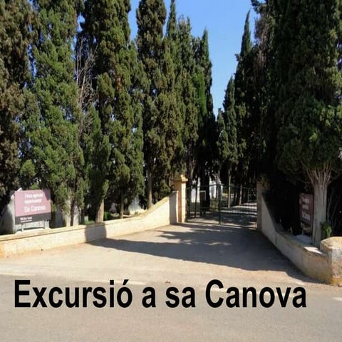 Sa Canova | PPTX
