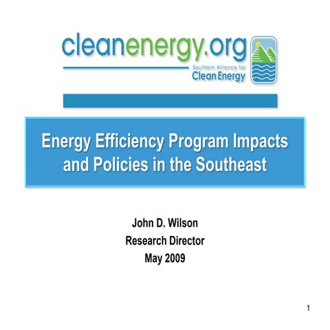 Energy Efficiency Program Impacts and Policies in the Southeast | PDF ...
