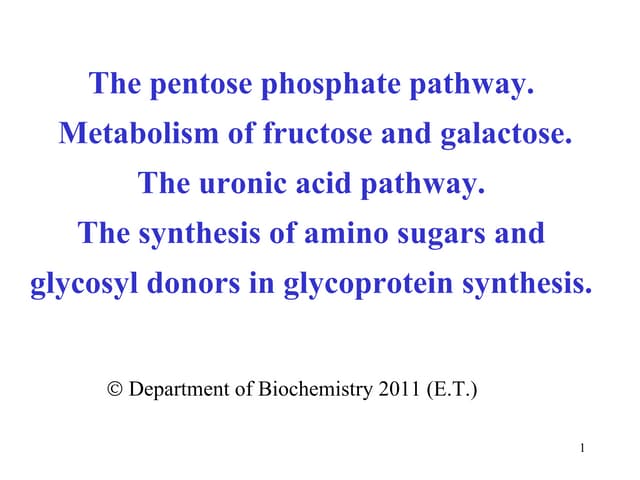 URONIC ACID PATHWAY | PPTX