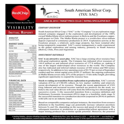 Sac initial report | PDF | Commodities | Economy