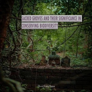 sacred groves ppt.pdf