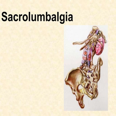 sacrolumbalgia.ppt | Death, Injury, or Military Conflict | Sensitive Topics