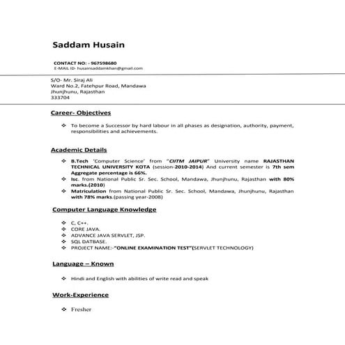 Saddam resume copy | DOC | Computing | Technology & Computing