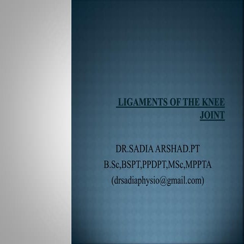 ligaments of the knee joint | PDF
