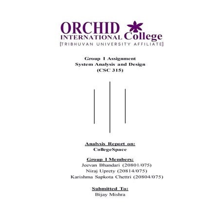 Sad planning phase | DOCX | College Planning | College Education