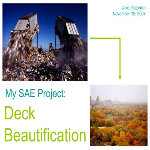 SAE: Deck Beautification | PPT