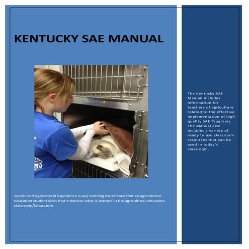 Sae manual-april-2013 | PDF