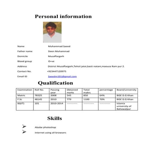 Saeed cv | PDF