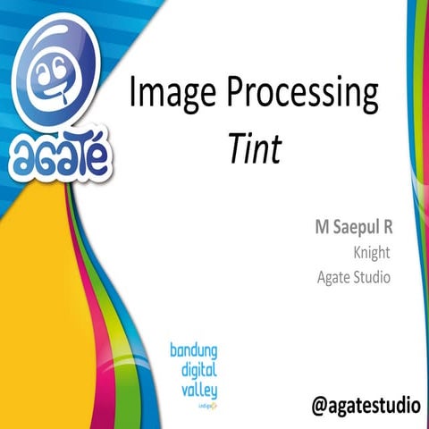 Image Processing with HUE by Saepul | PPT