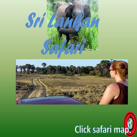 Safari | PPT