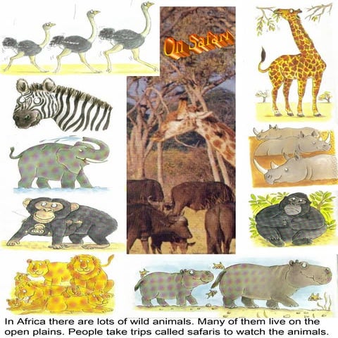 Safari science | PPT