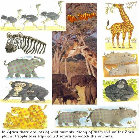 Safari science | PDF