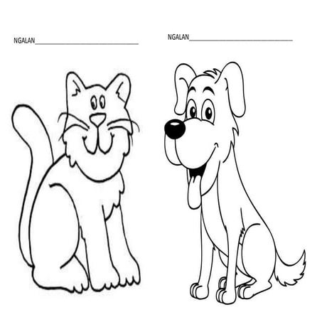 sAFE-animal-activity.docx