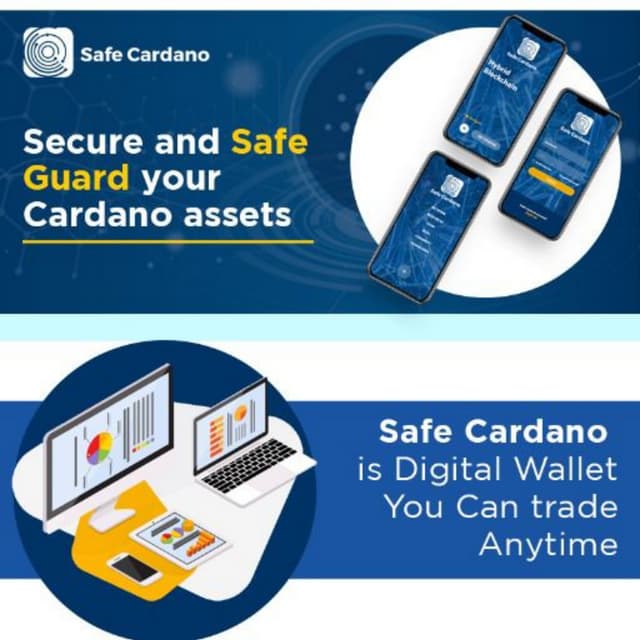 Safe Cardano Wallet | PDF