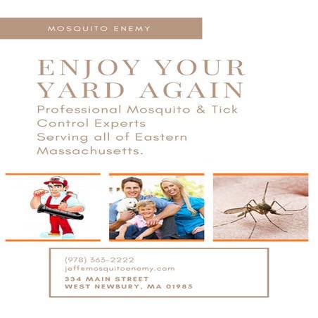 SAFE & EFFECTIVE MOSQUITO CONTROL | PDF