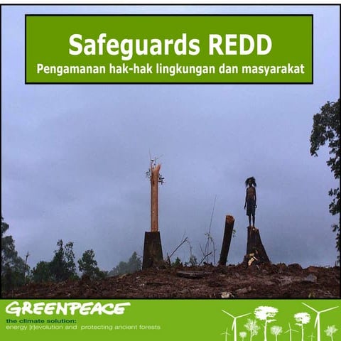 Safeguard redd | PPT
