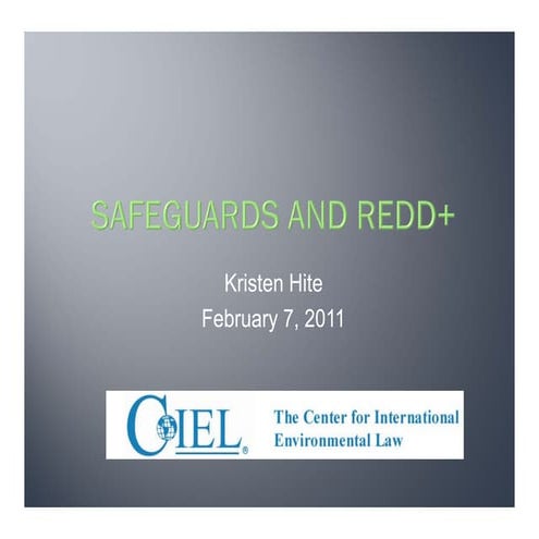 Safeguards and REDD+ | PDF