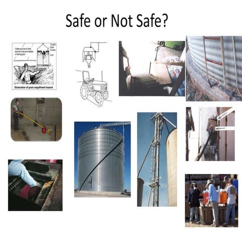 Safe or not safe | PPTX