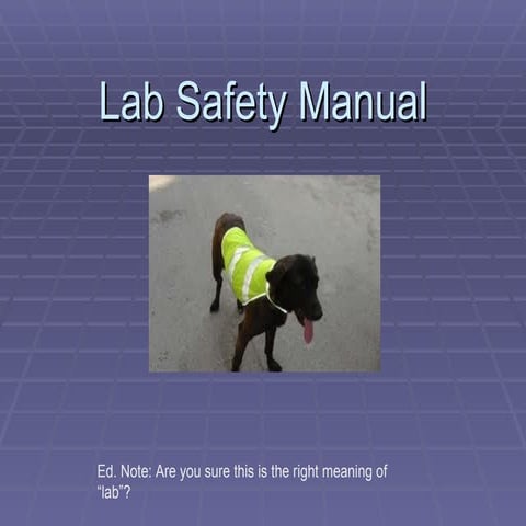 Unit 1 lab safety | PPT