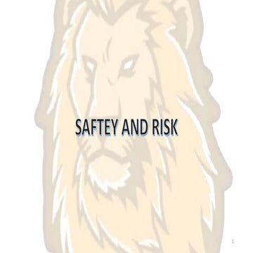 Safety and risk | PPTX